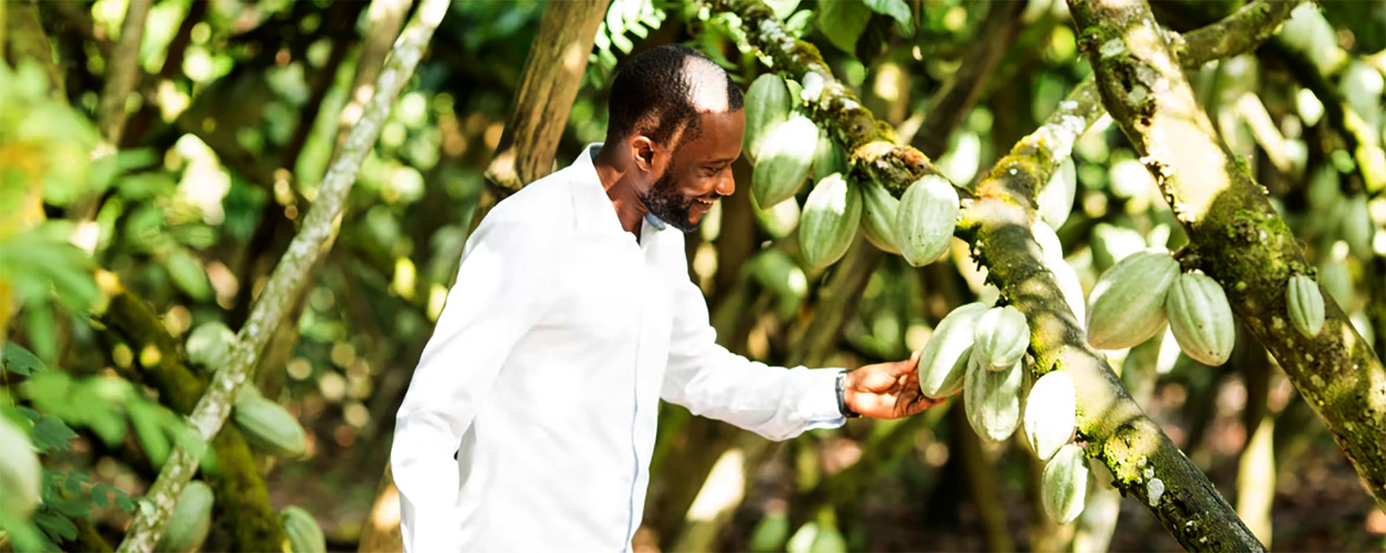 Ghana Cocoa Tour | Accra Day trips | Caocao to Cocoa | Blastours Ghana